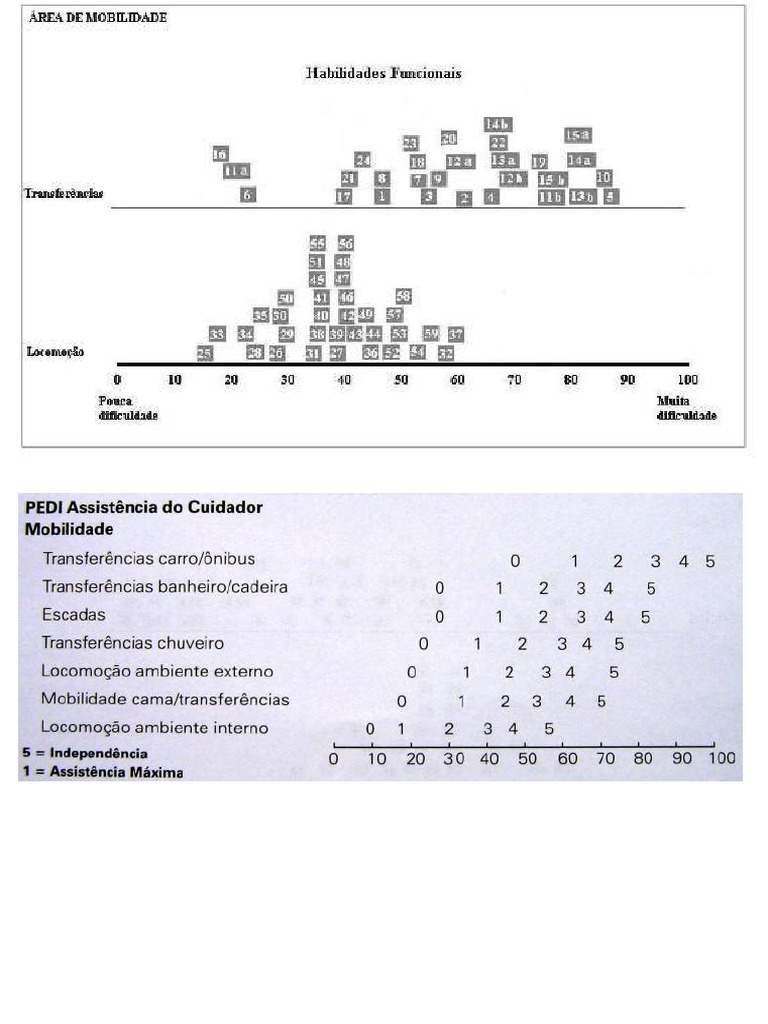 Mapa de Itens PEDI | PDF