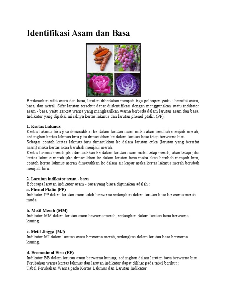 Identifikasi Asam Dan Basa | PDF