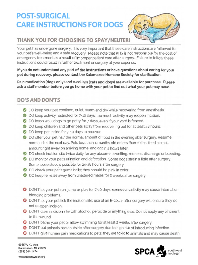SPCA Post Surgical Care Instructions For Dogs | PDF