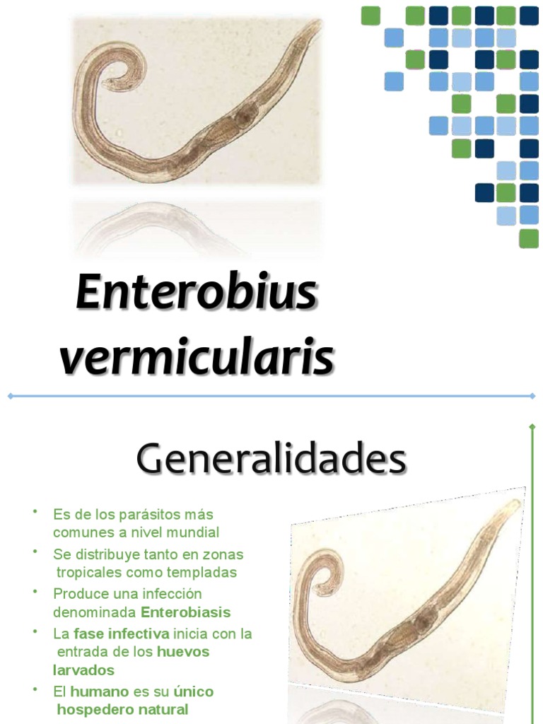 Oxiurus | PDF | Especialidades Medicas | Enfermedades y trastornos