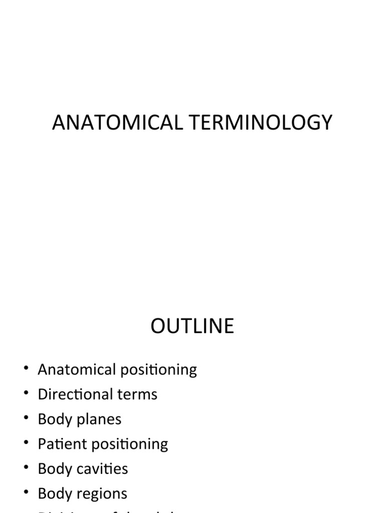 Anatomical Positions | PDF | Anatomical Terms Of Location | Human Anatomy