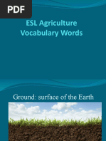 English For Agriculture Students | PDF | Staple Foods | Agriculture