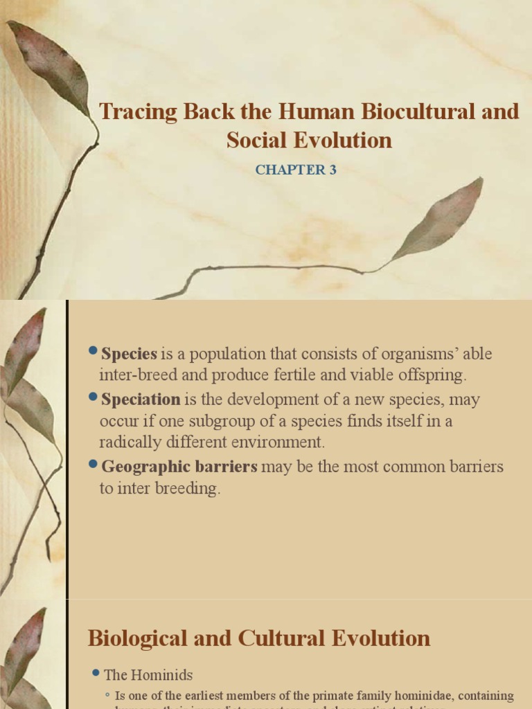 Tracing Back The Human Biocultural and Social Evolution | PDF | Homo ...