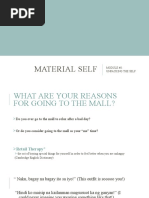 Material Self (Understanding The Self) | PDF