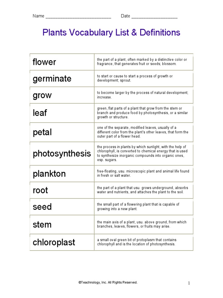 Plants Vocabulary List & Definitions | PDF | Plants | Leaf