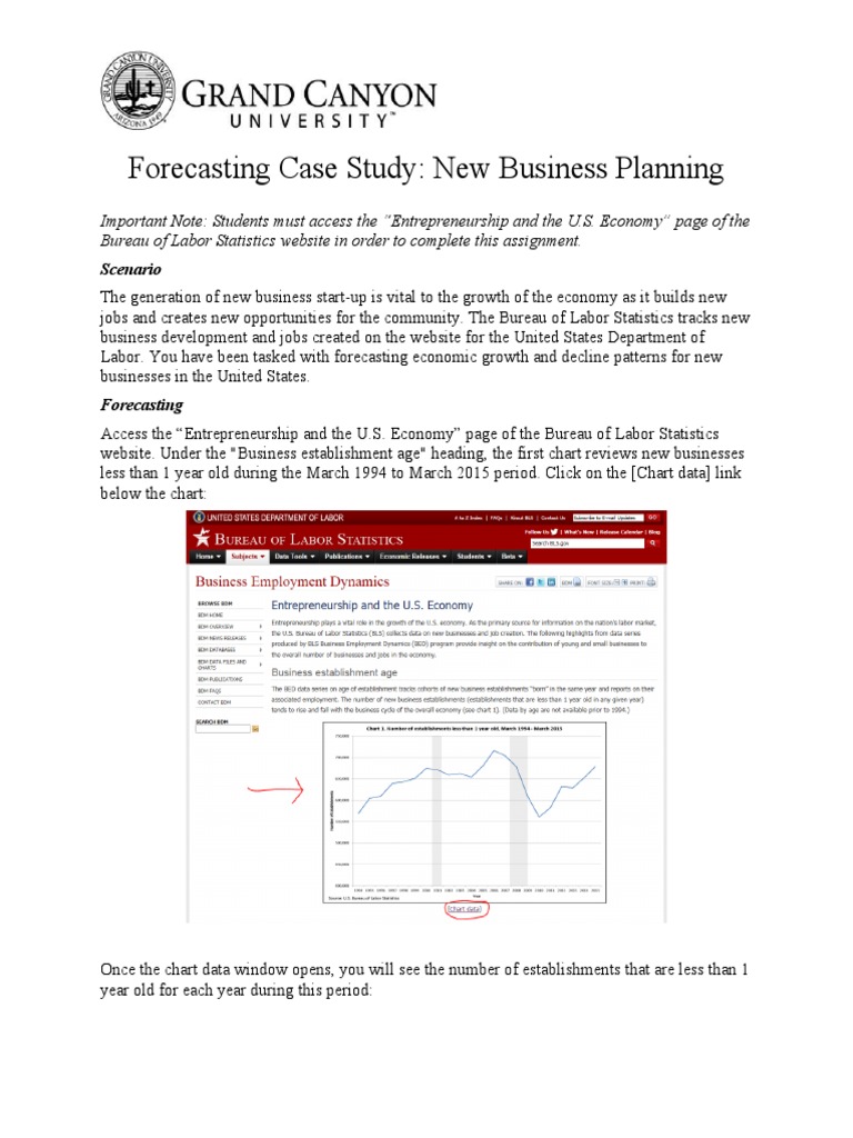 Forecasting Case Study: New Business Planning | PDF