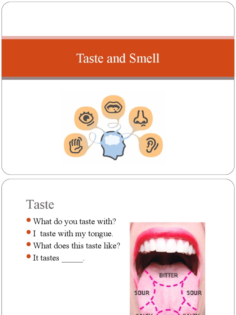 Taste and Smell Flashcards - 106292 | PDF