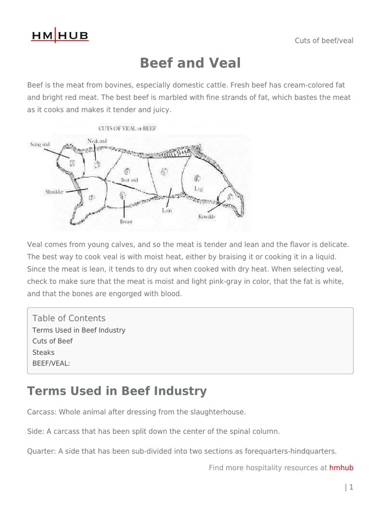 Beef and Veal: Terms Used in Beef Industry | PDF