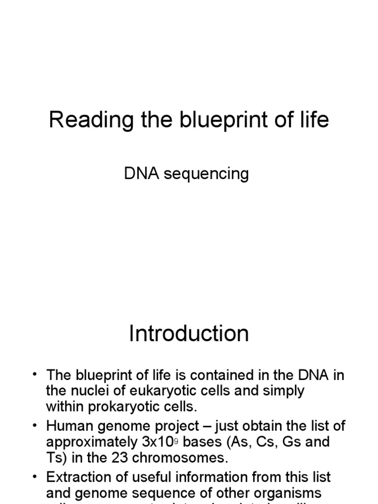 Reading The Blueprint of Life: DNA Sequencing | PDF | Open Reading ...