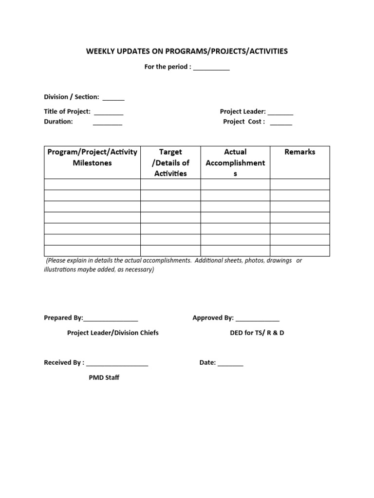 Weekly Project Update Template | PDF
