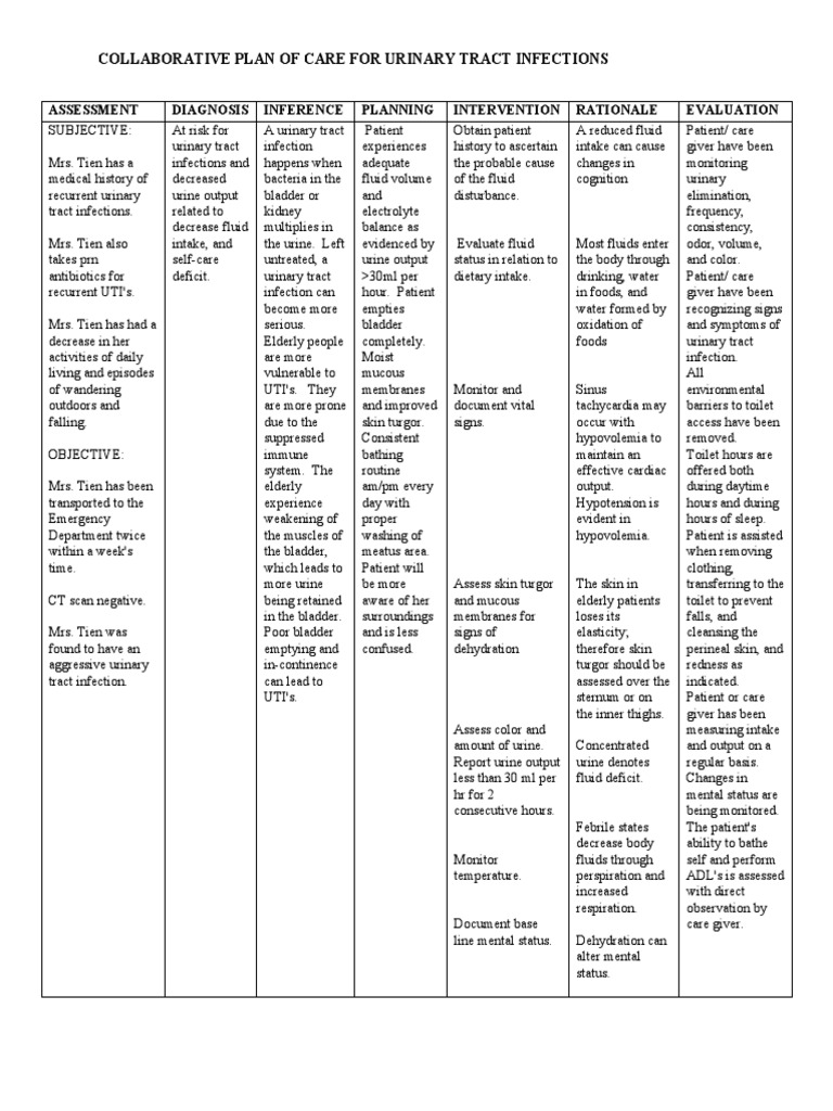 Collaborative Plan of Care For Urinary Tract Infections 1 | PDF ...