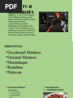 Region Xiii and Barmm Cuisine | PDF | Foods | Cuisine