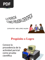 Los Cinco Elementos Fundamentales para El Desarrollo de Una Pericia ...