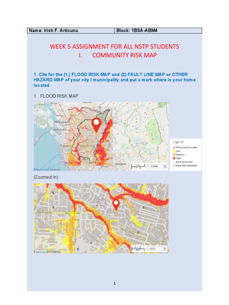 Week 5 Assignment For All NSTP Students I. Community Risk Map | PDF