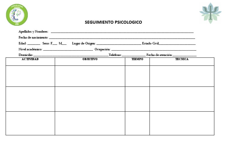 Formato de Seguimiento Del Paciente | PDF