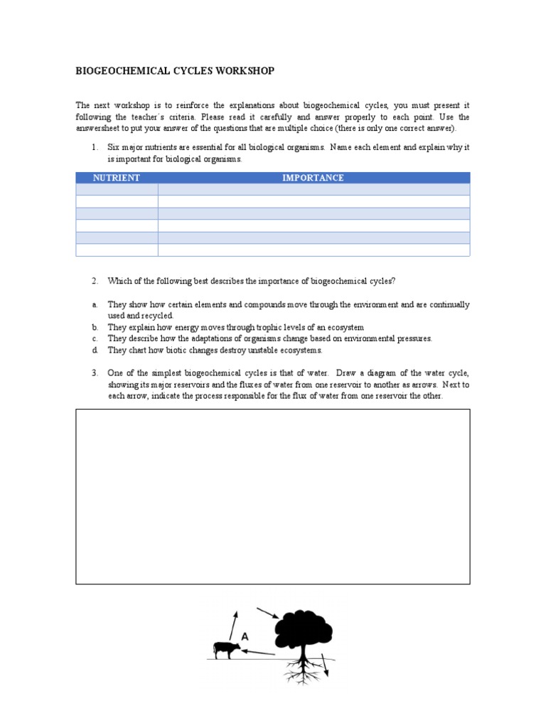 Biogeochemical Cycles Workshop: Nutrient Importance | PDF | Systems ...