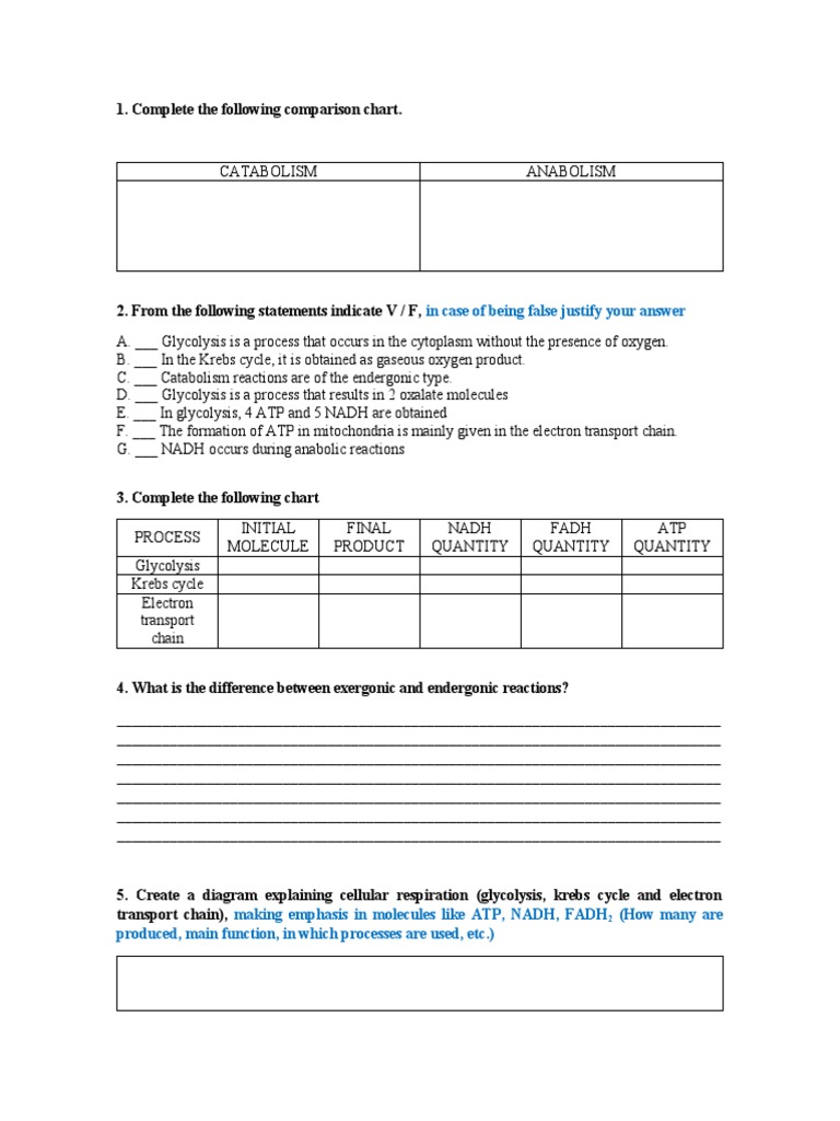 Cellular Respiration and Digestion Quiz | PDF | Digestion | Lung