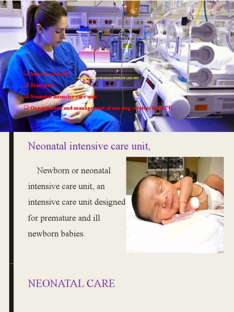 NICU Organization and Management Guide | PDF | Neonatal Intensive Care ...