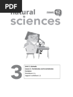 Animal Identification Key Worksheet | PDF | Organisms | Nature