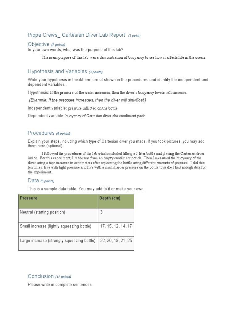 Cartesian Diver Buoyancy Experiment Report | PDF | Buoyancy ...