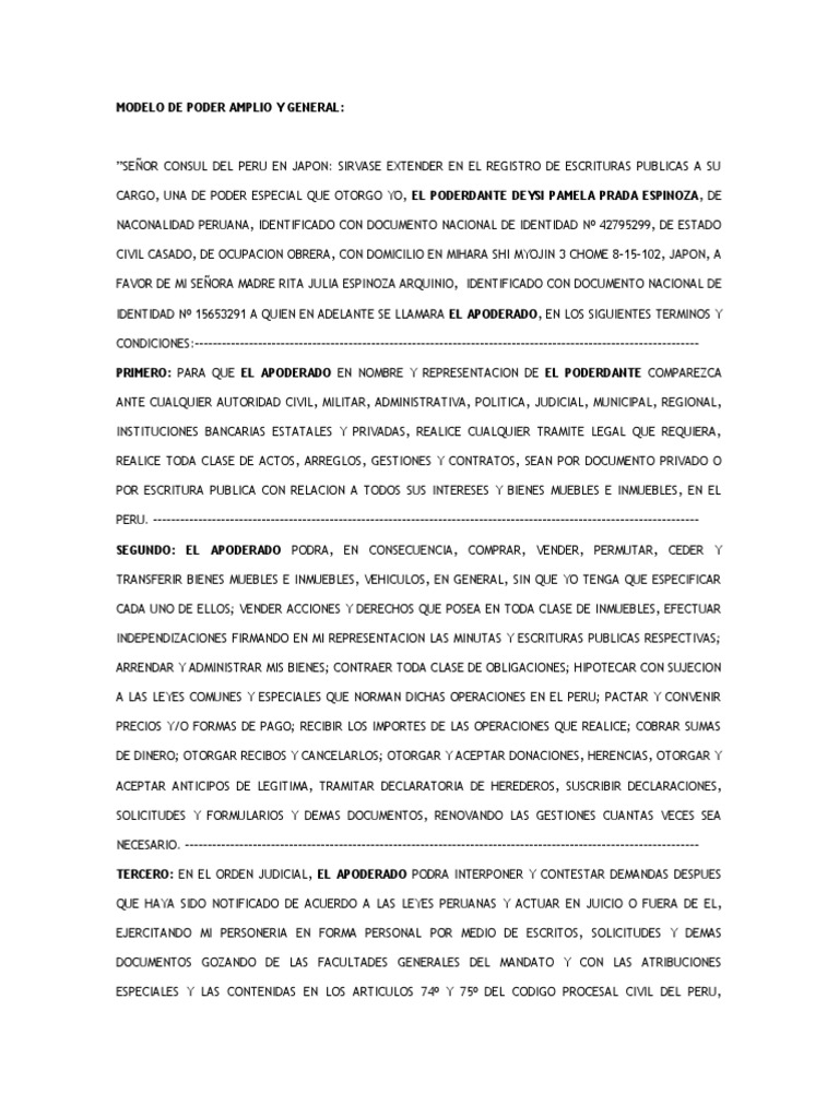 Modelo de Poder Amplio y General Pamela | PDF | Bancos | Perú
