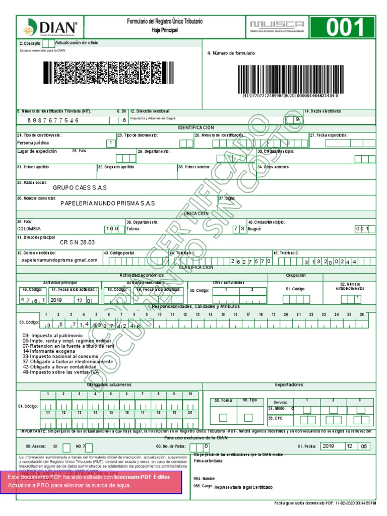 Rut en Blanco | PDF | Gobierno | Business