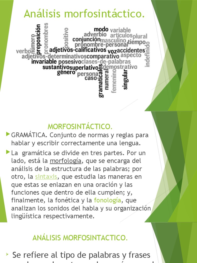 Análisis Morfosintáctico | PDF | Palabra | Adjetivo