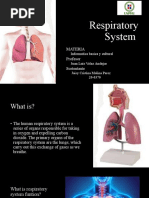 Shopee Inspired Powerpoint Template | PDF