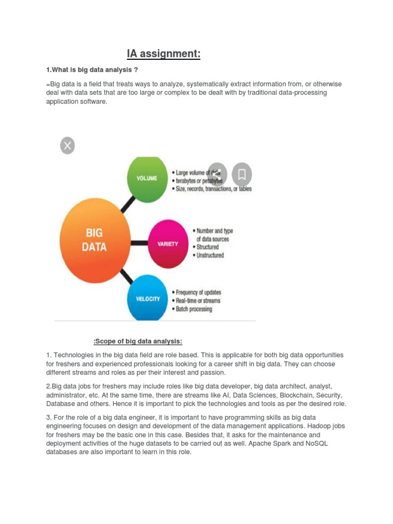 2019BBA033 IA Assignment | PDF | Big Data | Analytics
