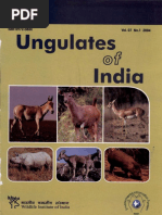 Wild Edible Fruits of Arunachal Pradesh | PDF | Plants | Horticulture ...