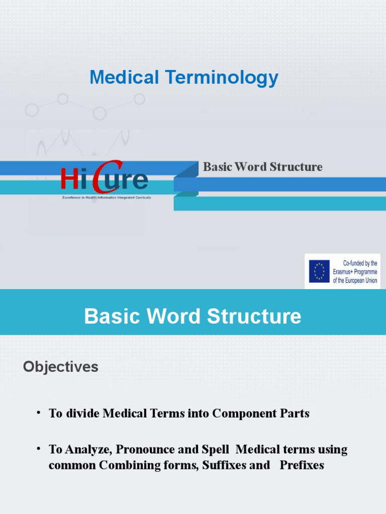 Basic Word Structure | PDF | Anatomy | Organ (Anatomy)