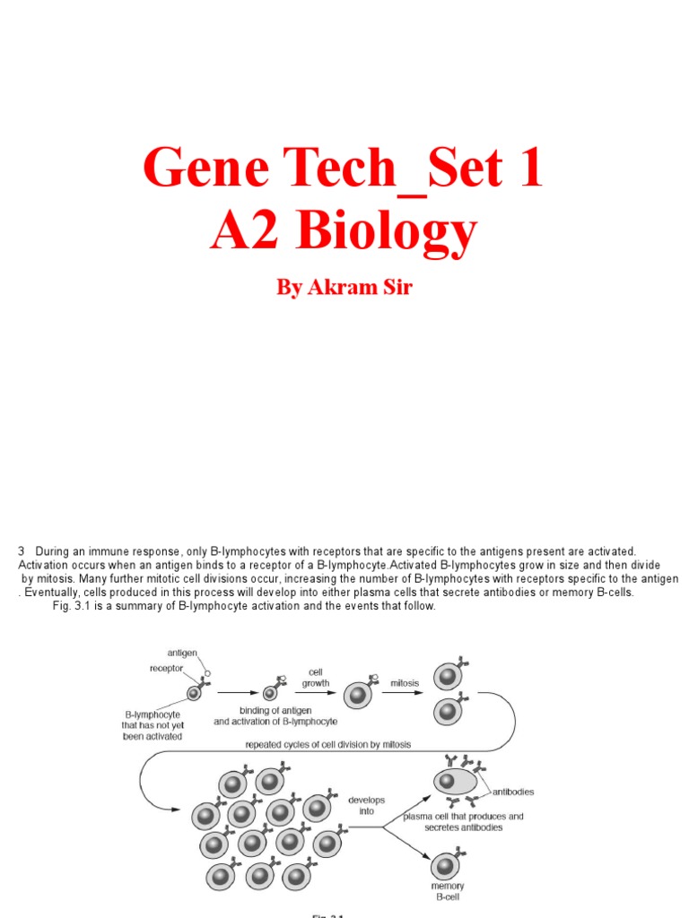 Gene Tech - Set 1 A2 Biology: by Akram Sir | PDF | Gene Expression ...