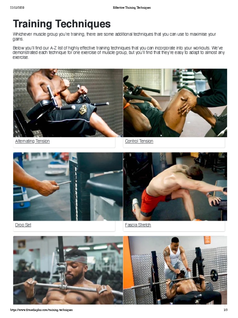 Effective Training Techniques | PDF