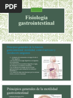 Anatomía y Fisiología Anorrectal | PDF | Recto | Sistema digestivo