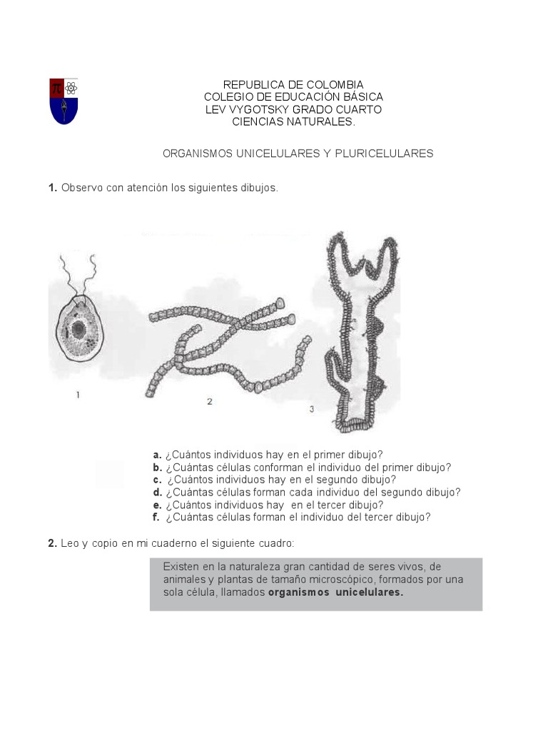 Organismos Unicelulares y Pluricelulares | PDF | Organismos | Biología ...