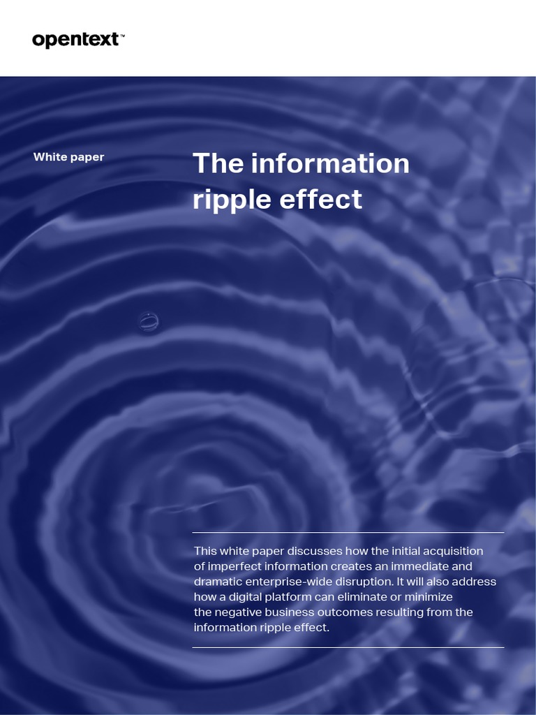 The Information Ripple Effect: White Paper | PDF | Information | Inventory