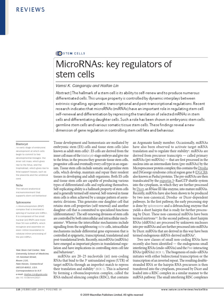Micrornas: Key Regulators of Stem Cells: Vamsi K. Gangaraju and Haifan ...