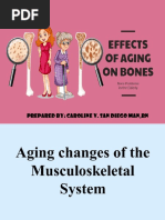 Healthcare FACETS System | PDF | Application Software | Health ...