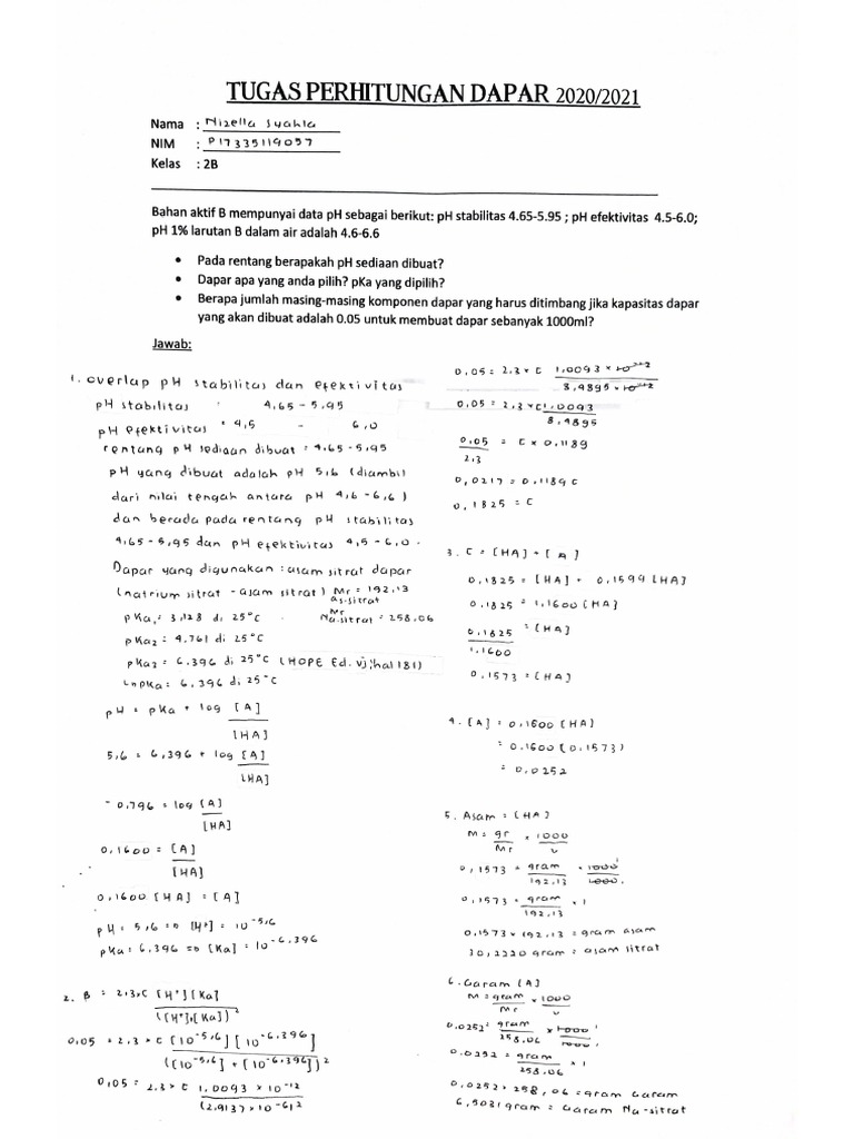 2B - 21 - Nizella Syahla - Perhitungan Dapar | PDF