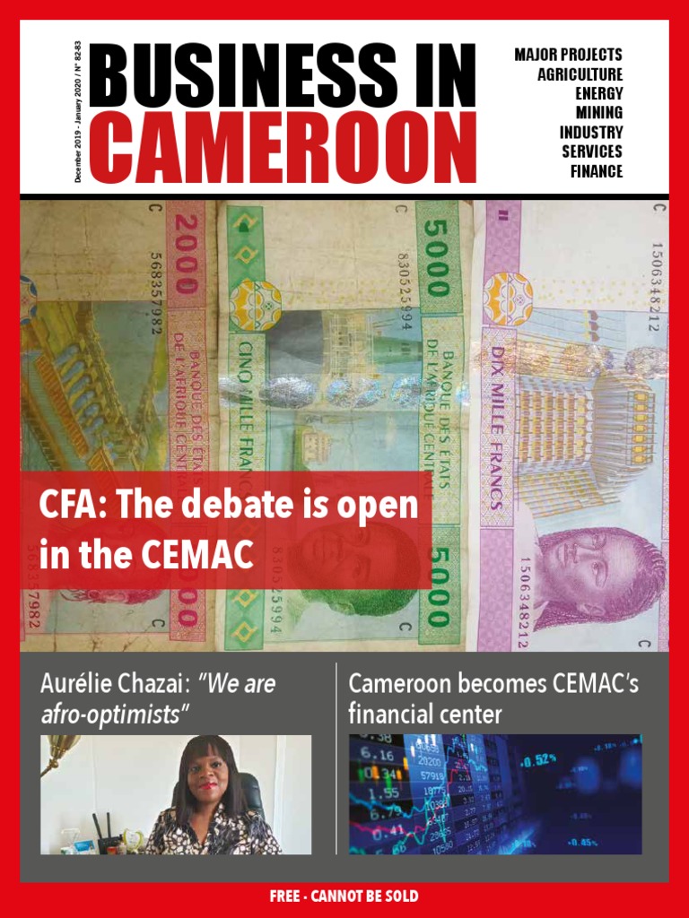 Cameroon: Business in | PDF | Business | Investing
