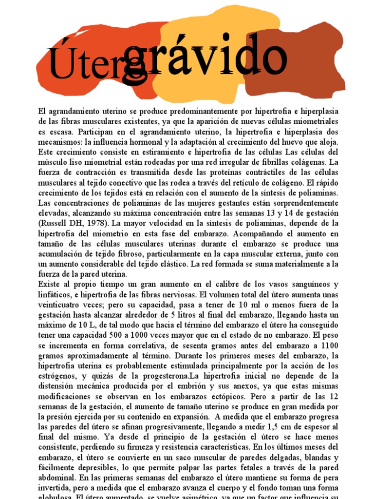 Utero Gravido Pdf útero El Embarazo