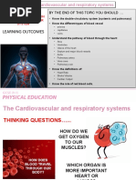 BTEC Sport Cardiovascular System Guide | PDF | Heart | Artery