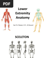 Rom Isom | PDF | Human Anatomy | Limbs (Anatomy)