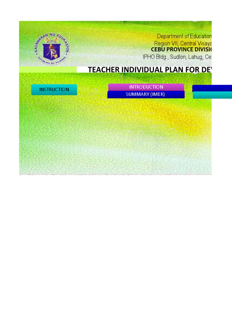 Teacher Individual Plan For Development (Tipd) | PDF | Differentiated ...