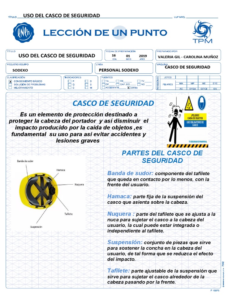 Lup - Casco de Seguridad | PDF
