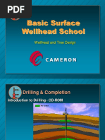 FMC Conventional Wellhead Breakdown | PDF | Casing (Borehole ...