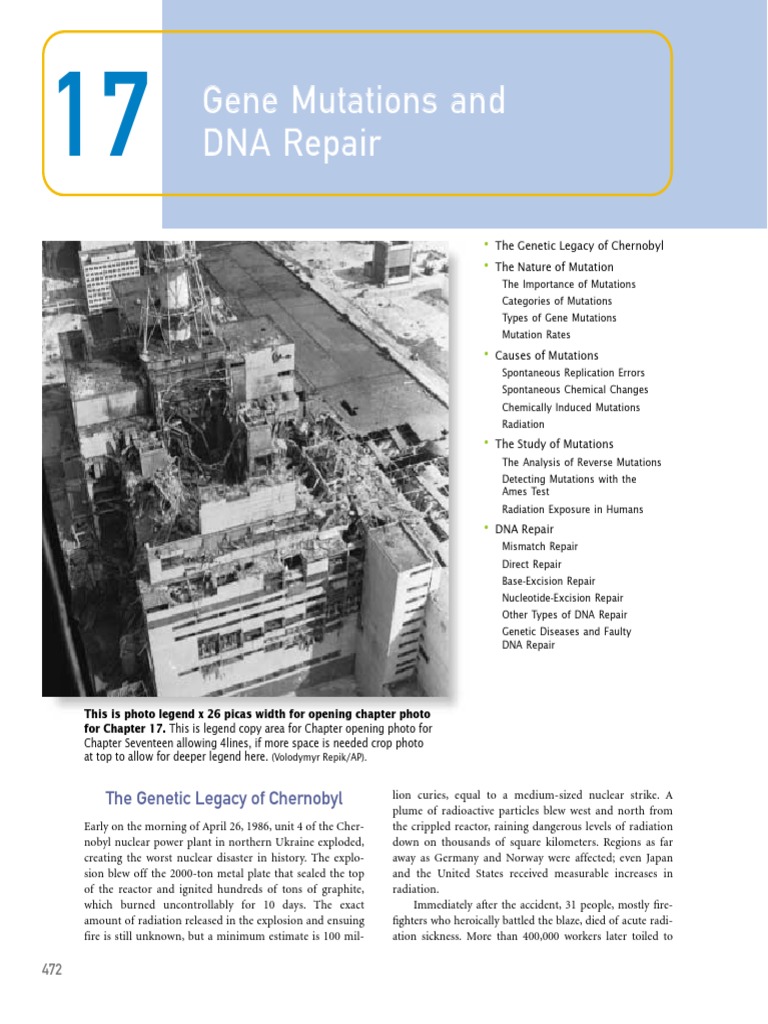 Ne Mutations and DNA Repair PDF | PDF | Genetic Code | Point Mutation