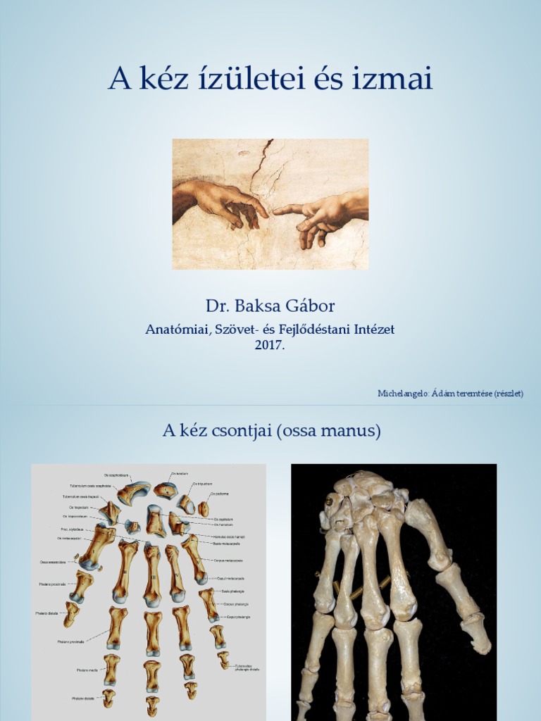 A Kez Izuletei Es Izmai BG | PDF