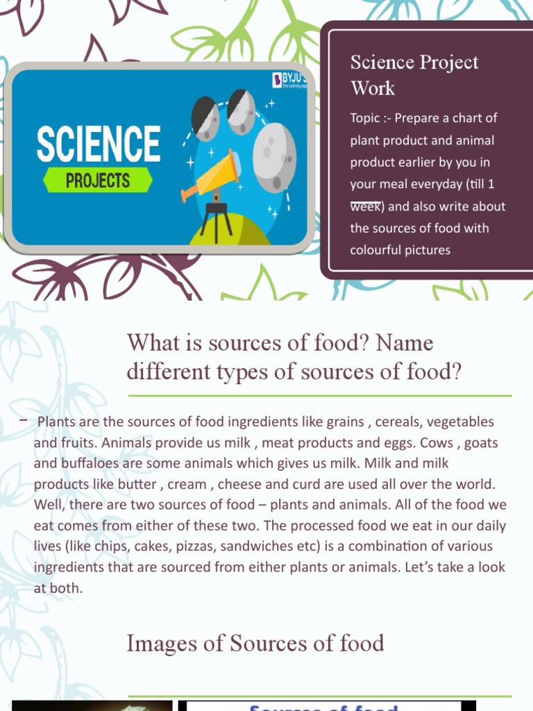 Science Group Project Work | PDF | Curry | Lunch