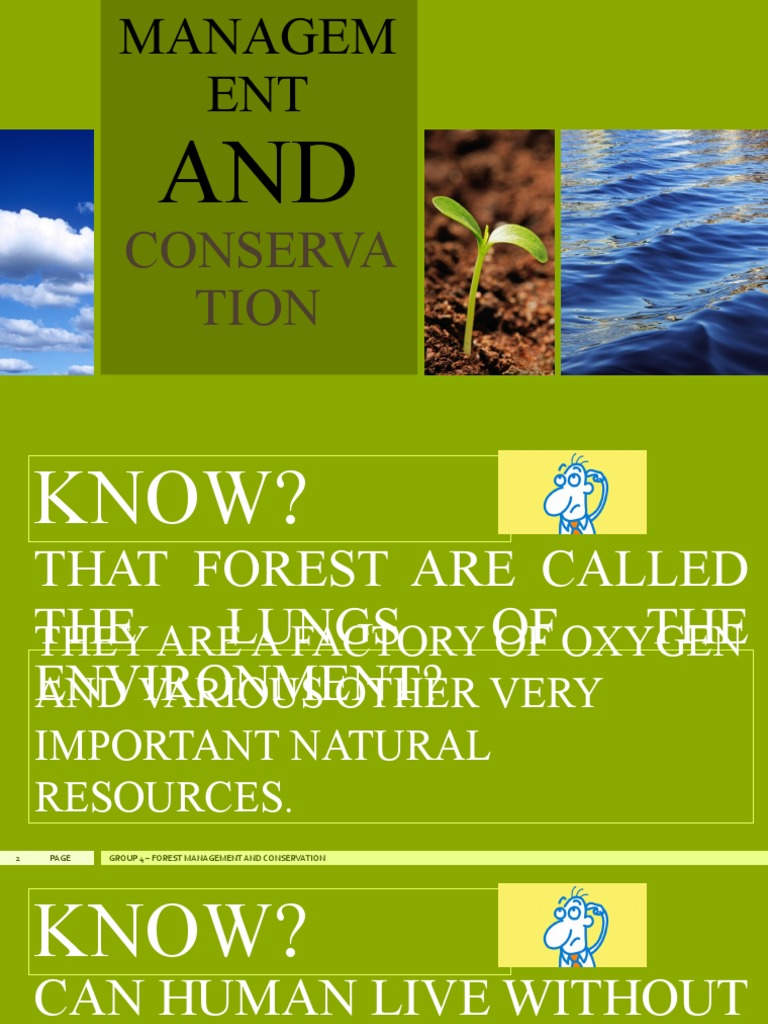 Forest Management and Conservation | PDF | Forestry | Forests